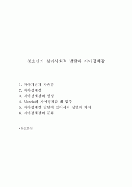 청소년기 심리사회적 발달과 자아정체감 (자아개념, 자존감, 자아정체감, Marcia, 자아정체감 발달, 자아정체감의 문화)
-1페이지