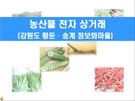 농산물 전자 상거래 (강원도 황둔 송계 정보화마을) -1페이지