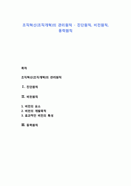 조직혁신(조직개혁)의 관리원칙 - 진단원칙, 비전원칙(비전의 요소, 비전의 개발목적, 효과적인 비전의 특성), 동력원칙-1페이지