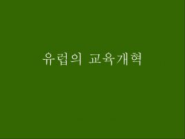 유럽의 교육개혁-1페이지