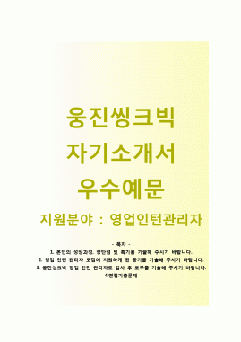 웅진씽크빅 영업인턴관리자 자기소개서 합격예문[웅진씽크빅자소서 + 면접기출문제] 웅진씽크빅 정규진전환 계약직 자기소개서자소서항목-1페이지