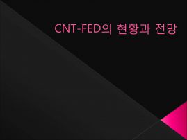 [공학] CNT-FED의 현황과 전망-1페이지