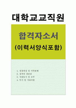 대학교교직원자소서  교직원자기소개서 합격자소서(이력서) 자기소개서대학교교직원 채용 자소서 첨삭 지원동기, 국공립대학교 사립대학교교직원, 행정직 교직원자기소개서, 사무직 자기소개서, 행정직 이력서-1페이지