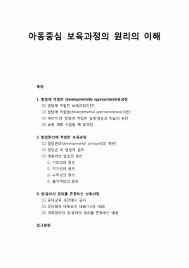 [보육과정] <아동중심 보육과정> 아동중심 보육과정의 원리의 이해 - 발달에 적합한 보육과정, 발달원리에 적합한 보육과정, 영유아의 권리를 존중하는 보육과정-1페이지