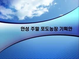 [관광축제론] 안성주말포도농장 기획안-1페이지