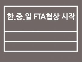 [한국개방경제 세미나] 한중일 FTA 협상-1페이지