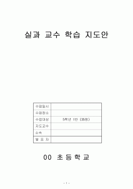 균형잡힌 식사하기(실과교수학습지도안, 초등학교5학년, 교생실습, 실과본시수업안, 교수학습지도안)-1페이지