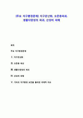 [주요 지구환경문제] 지구온난화, 오존층파괴, 생물다양성의 파괴, 산성비 피해, 지구환경 보전을 둘러싼 국제적 이슈-1페이지