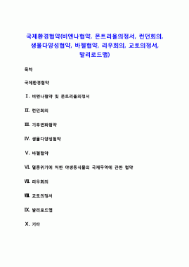 국제환경협약 (비엔나협약, 몬트리올의정서, 런던회의, 생물다양성협약, 바젤협약, 리우회의, 교토의정서, 발리로드맵, 기후변화협약)-1페이지