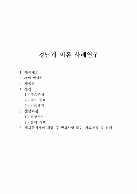 청년기 이혼 사례연구(성인초기이혼사례, 이혼문제, 청년기이혼사례, 사례개입및치료결과)-1페이지