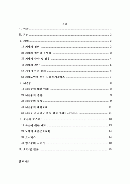 [사회과학] 노인성질환과 호스피스(노인치매, 뇌졸중, 죽음과호스피스, 노인건강, 노인질병)-1페이지