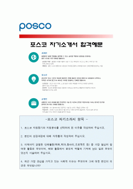 [포스코 자기소개서·자소서] 2014 포스코(POSCO) 자기소개서 합격예문(포스코지원동기)+면접족보 포스코자기소개서예문 포스코자기소개서샘플 포스코자소서-1페이지