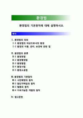 [환경법]환경법의 기본원칙에 대해 설명 (환경법의 의의, 환경법의 분류, 환경법의 기본원칙)-1페이지