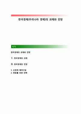 한국경제(우리나라 경제)의 과제와 전망 (한국경제의 과제, 한국경제의 전망)-1페이지