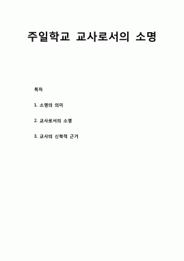 [주일학교교육론] 주일학교 교사로서의 소명 - 소명의 의미와 교사로서의 소명 및 교사의 신학적 근거 [기독교]-1페이지