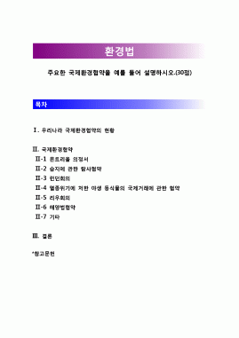 [환경법]주요한 국제환경협약을 예를 들어 설명 (우리나라 국제환경협약의 현황, 국제환경협약)-1페이지