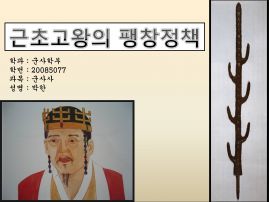 근초고왕의 팽창 정책-1페이지