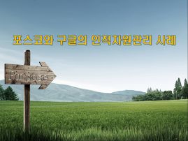 포스코(POSCO)와 구글(Google)의 인적자원관리 사례.ppt-1페이지