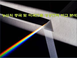 농심의 중국 및 미국진출 성공전략 비교 분석-1페이지