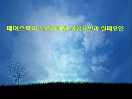 페이스북(facebook)의 SNS마케팅 성공요인과 실패요인.ppt-1페이지