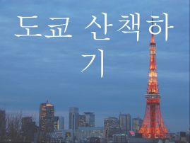 새로운도전,국제관광(나만의공정여행/95점) -1페이지