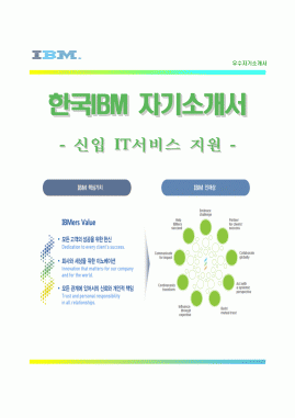 [한국IBM 자기소개서] 한국IBM 합격 자소서와 면접기출문제,한국IBM합격자기소개서,한국IBM 이력서-1페이지