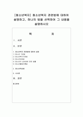 [청소년복지] 청소년복지 관련법에 대하여 설명하고,  하나의 법을 선택하여 그 내용을 설명하시오 - 청소년복지 관련법-1페이지