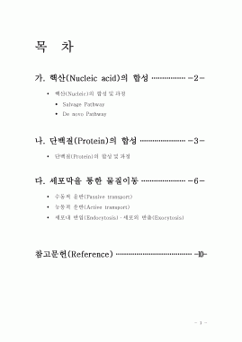 핵산(Nucleic acid)의 합성, 단백질(Protein)의 합성과 세포막을 통한 물질이동-1페이지