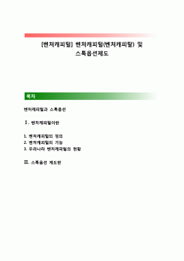 [벤처캐피털(venture Capital)] 벤처캐피털(벤처캐피탈) 정의 기능,현황 및 스톡옵션(stock option)제도-1페이지