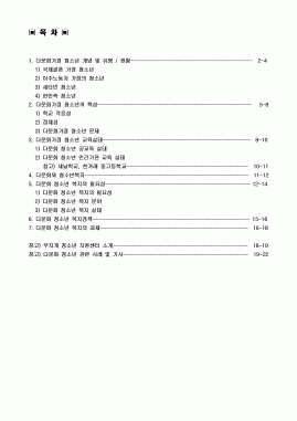 [사회복지론] 다문화 가정 청소년 (다문화가정 청소년 개념, 유형과 현황, 특성, 교육실태, 다문화와 청소년복지, 다문화 청소년 복지의 필요성, 다문화 청소년 복지정책, 다문화 청소년 복지의 과제)-1페이지