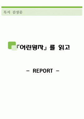 <<어린왕자 독후감>>어린왕자를 읽고, 독서감상문, 줄거리,서평,해석,분석-1페이지