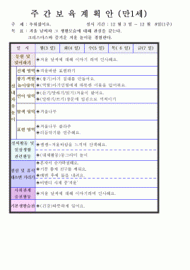 2012년 평가인증 통과한 만1세 12월 겨울 보육일지(보육실습일지)-1페이지