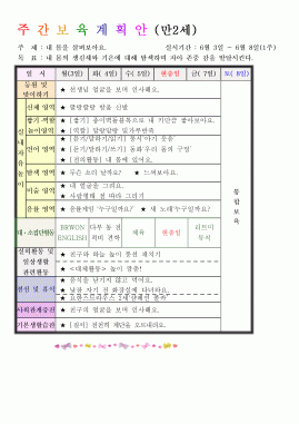 2013년 평가인증 통과한 만2세 6월 나는요2 보육일지(보육실습일지)-1페이지