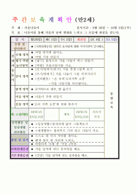 2013년 평가인증 통과한 만2세 10월 알록달록 가을이예요2 보육일지(보육실습일지)-1페이지