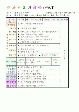 2013학년도 평가인증 통과한 만2세 6월 나는요2 보육일지(보육실습일지)-1페이지