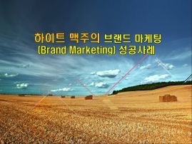 하이트 맥주의 브랜드 마케팅(Brand Marketing) 성공사례-1페이지