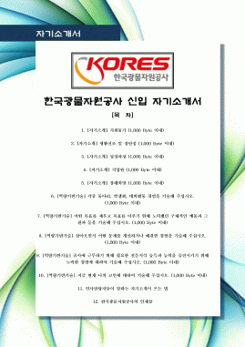 한국광물자원공사 최신 합격 자소서,한국광물자원공사, 광물자원, 공사, 신입, 합격, 자기소개서, 자소서, 최신 항목-1페이지