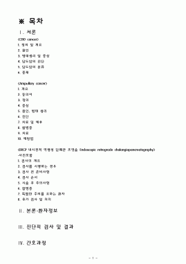 CBD Ca, ampullary ca, ERCP <CBD cancer>, <Ampullary cancer>, <ERCP 내시경적 역행성 담췌관 조영술 Endoscopic retrograde cholangiopancreatography> 담도암(담관암) CBD cancer 케이스 스터디-1페이지