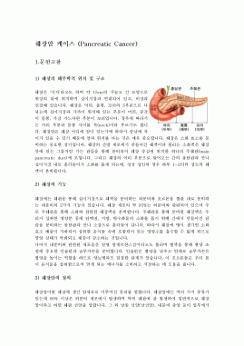 췌장암(Pancreatic Cancer) 케이스 스터디(case study)-1페이지