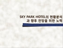 [관광마케팅,호텔분석] SKY HOTEL 분석 - SKY PARK HOTEL(스카이파크 호텔)의 현황분석과 향후 전망을 위한 노력.pptx
-1페이지