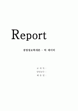 경영정보학개론 - 빅데이터(Big Data) @ 빅데이터 정의, 빅 데이터의 문제점, 빅 데이터의 문제 해결책-1페이지