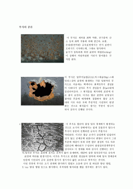 부식의 종류와 방지법에 대해 설명하시오.-1페이지