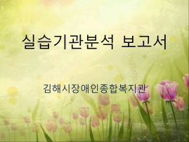 김해시장애인종합복지관 기관분석보고서(사회복지현장실습, 종합복지관) PPT, 파워포인트-1페이지