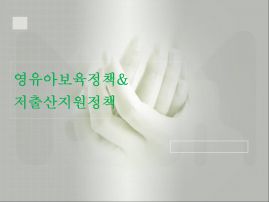 영유아보육정책과 저출산지원정책(가족복지론, 출산장려, 유아보육정책) PPT, 파워포인트-1페이지