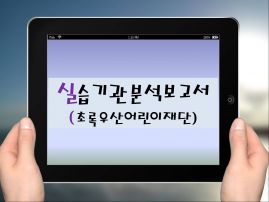 초록우산어린이재단 실습기관분석보고서(아동복지, 사회복지현장실습) PPT, 파워포인트-1페이지