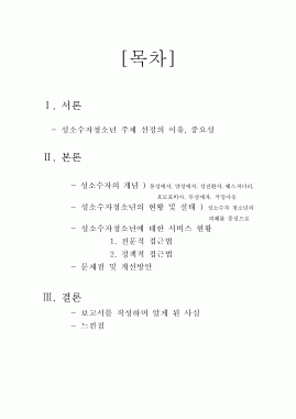 ‘청소년 성 소수자’ (청소년 동성애자,성 소수자 개념과 현황 및 실태, 서비스 현황, 전문적 정책적 접근 문제점 및 개선방안)-1페이지