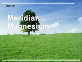 [국제경영론] Median 마그네슘 국제 기술 이동 (Meridian Magnesium) -1페이지
