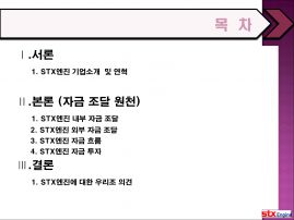 [비즈니스/경제] STX엔진 자금조달 원천-1페이지