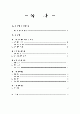 소득세(所得稅) -1페이지