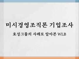 미시경영조직론 기업조사-효성그룹의 사례 WLB,효성그룹의 슬로건,패러다임의 변화,브랜드마케팅,서비스마케팅,글로벌경영,사례분석,swot,stp,4p-1페이지